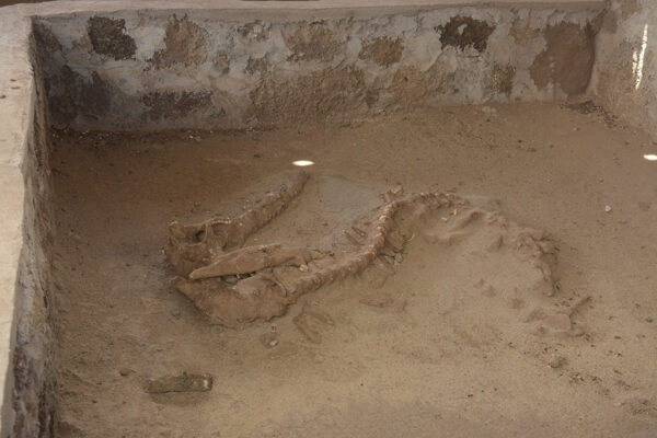 Everything you need to know about Koobi Fora - UpKenya